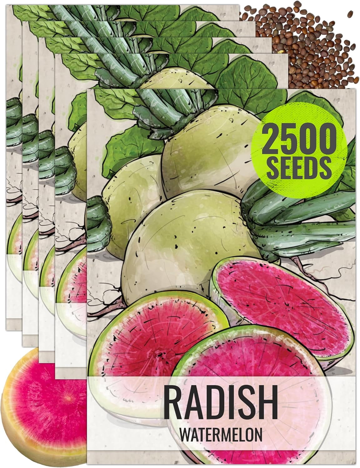 Radish Seeds for Planting Watermelon Radishes - Non-GMO Heirloom ...
