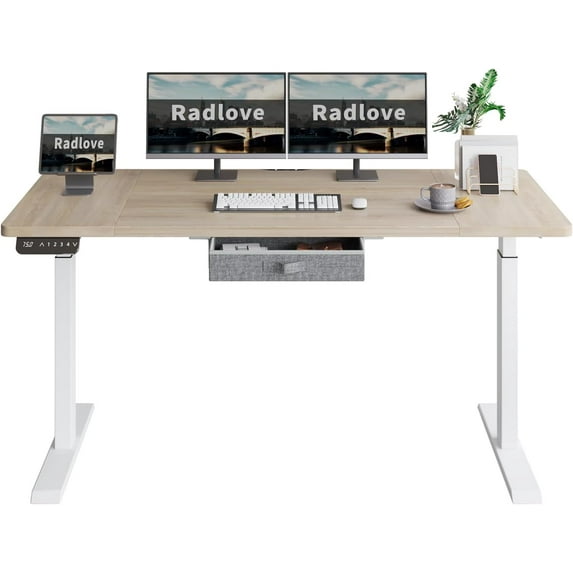 Radlove Dual Motors Height Adjustable 63 x 30'' Electric Standing Desk ...