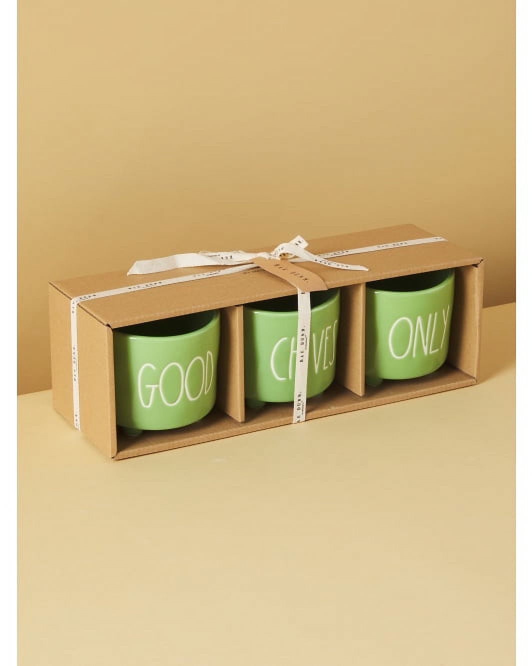 Rae Dunn Good Chives Only Set of 3 Planters - Walmart.com