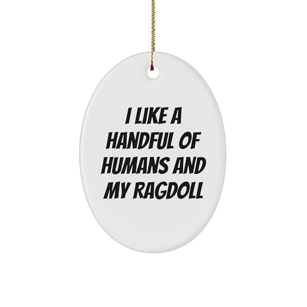 Ragdoll Cat Lovers Gifts from Friends for Christmas Oval Ornament with ...