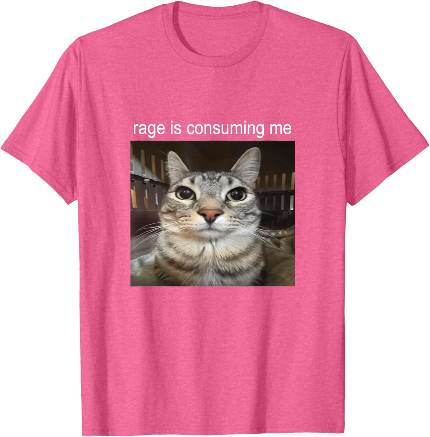 Rage Is Consuming Me Silly Staring Cat Meme T-Shirt,Full Sizes S-5XL ...