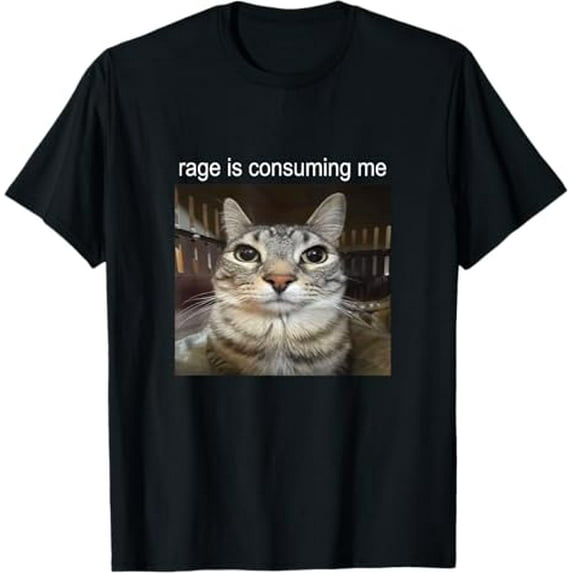 Rage Is Consuming Me Silly Staring Cat Meme T-Shirt - Walmart.com