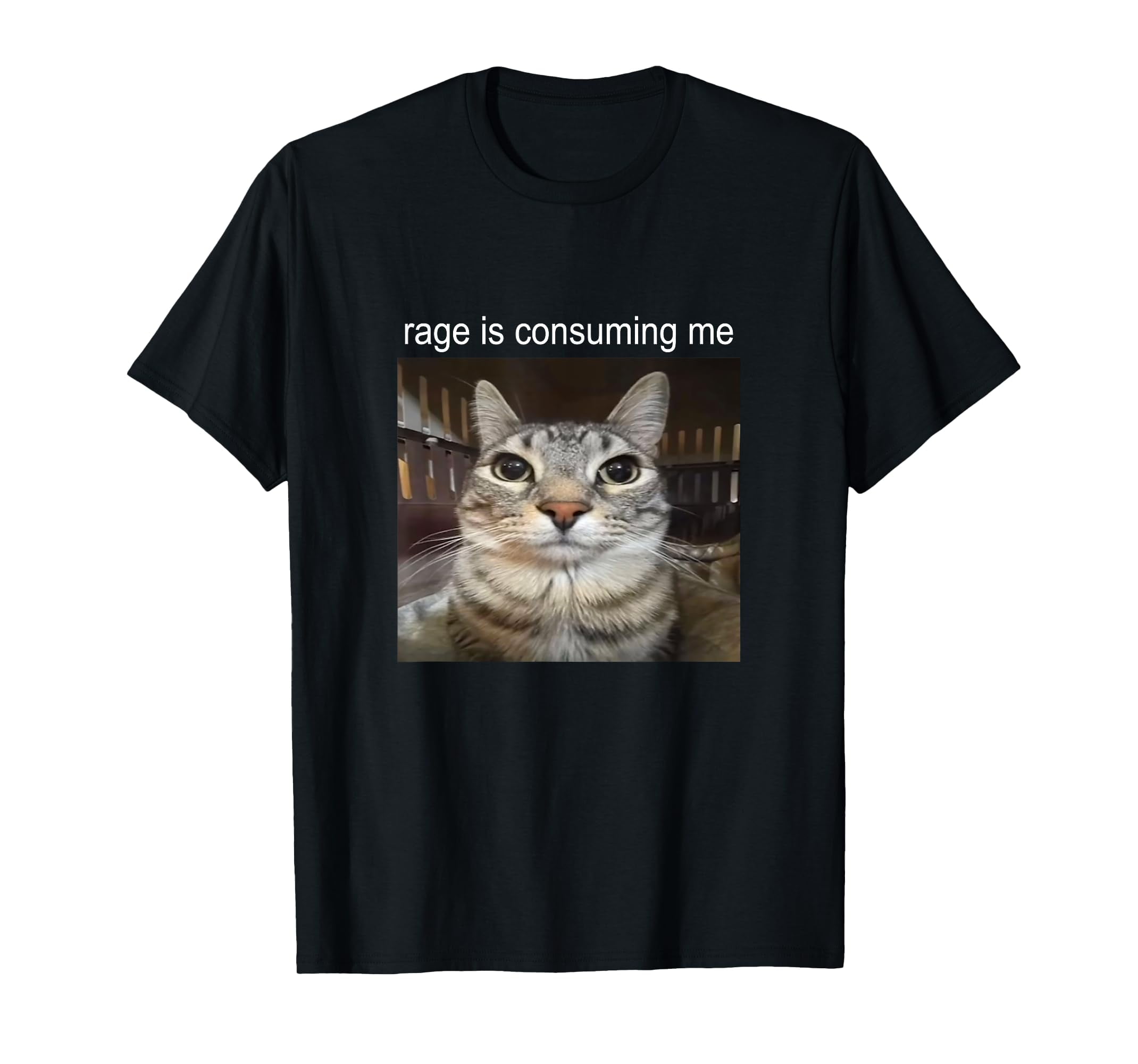 Rage Is Consuming Me Silly Staring Cat Meme T-Shirt - Walmart.com