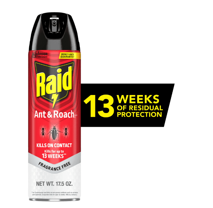 Raid Ant & Roach Insect Killer 26, Fragrance Free Bug Spray, 17.5 oz ...