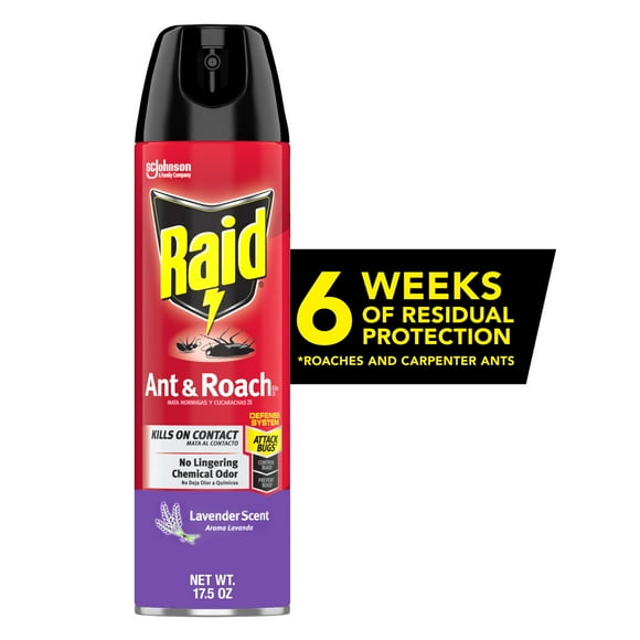 Ant in Pest Control - Walmart.com