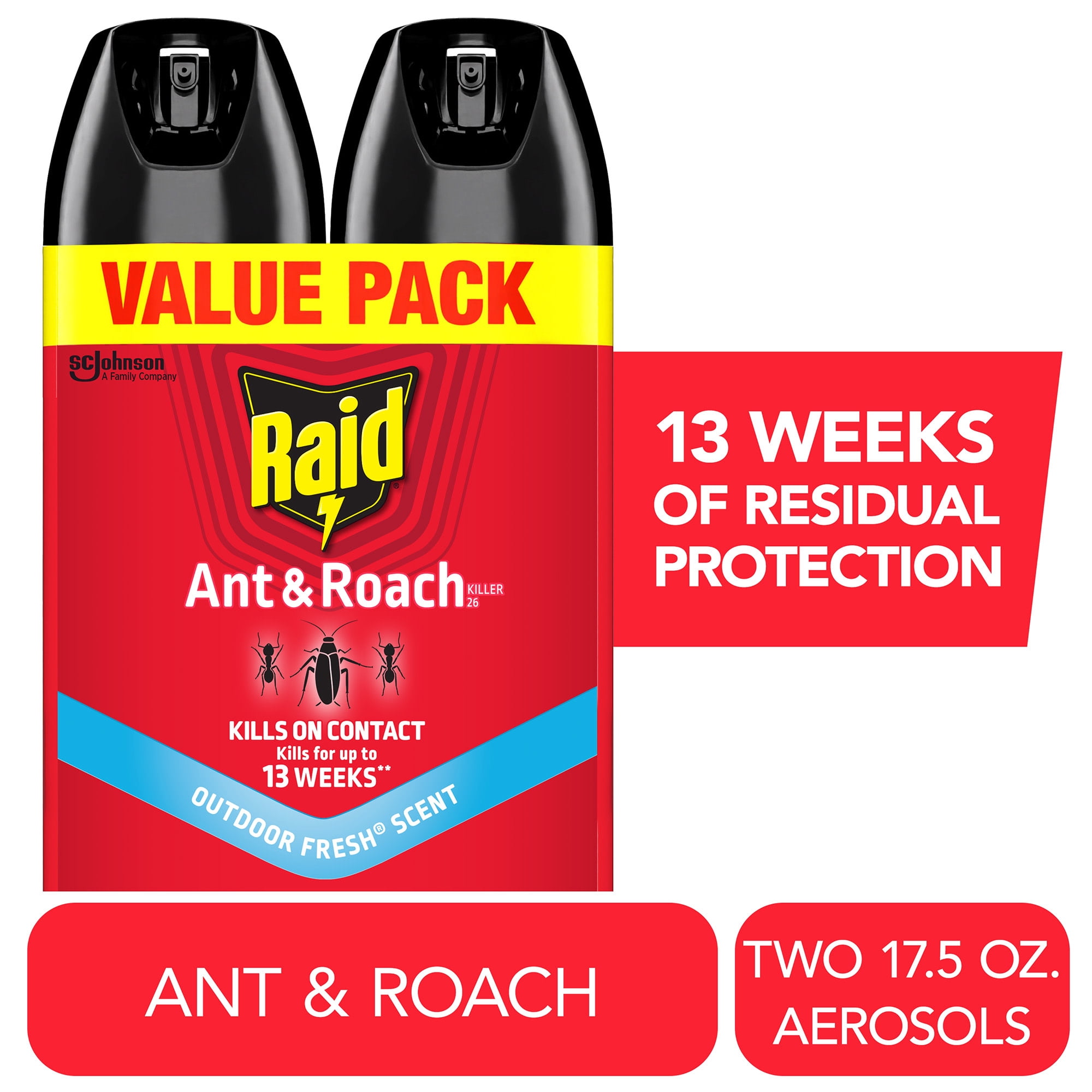 Raid Ant & Roach Killer Indoor and Outdoor Insecticide, Residual ...