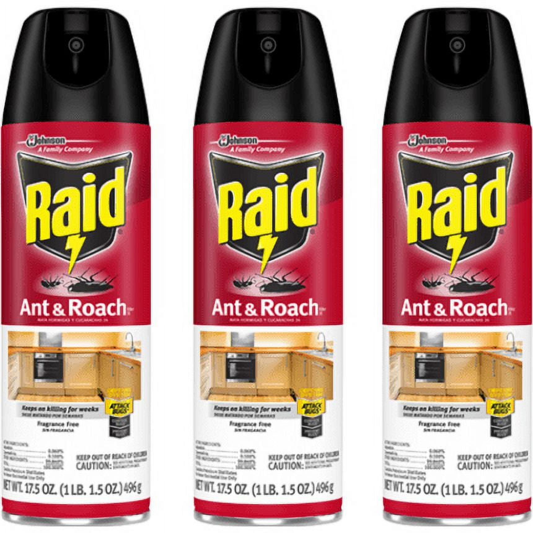 Raid Ant & Roach Killer 26 Fragrance Free 17.5 Oz -Pack of 3 - Walmart.com