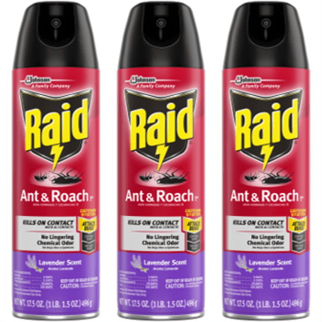 Raid Ant & Roach Killer Spray, Indoor & Outdoor Use, Lavender Scent, 17 ...