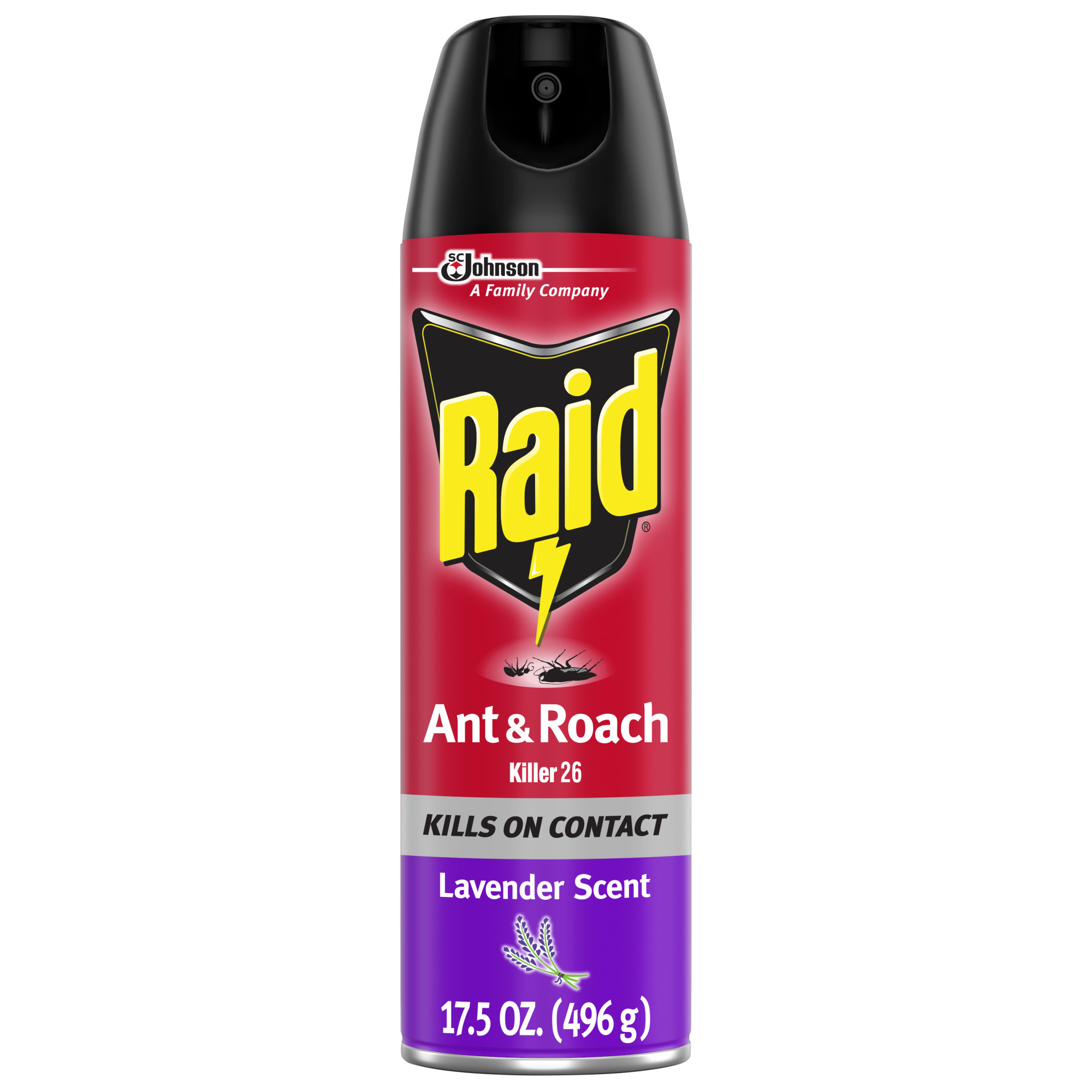Raid Ant & Roach Killer 26, Outdoor Fresh Scent, 20 oz - Walmart.com