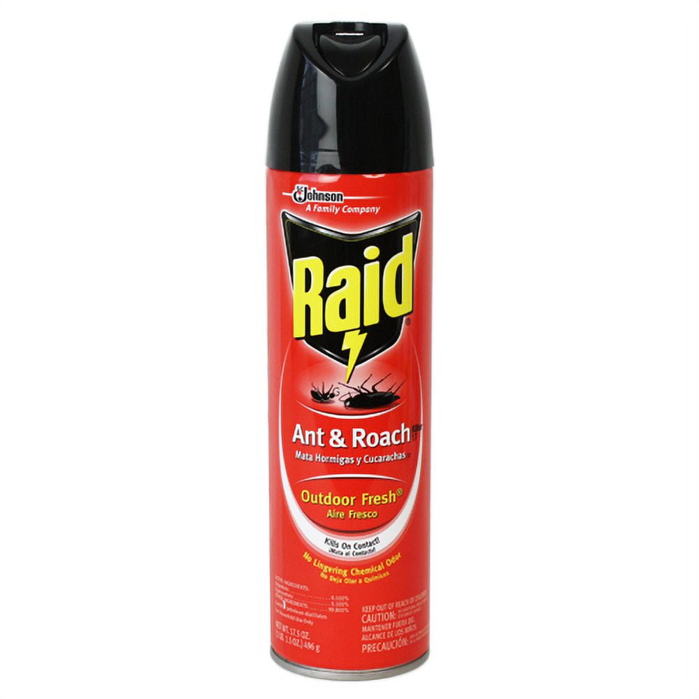 Raid Ant & Roach Killer 26 Outdoor Fresh Scent 17.5 oz (Pack of 16 ...