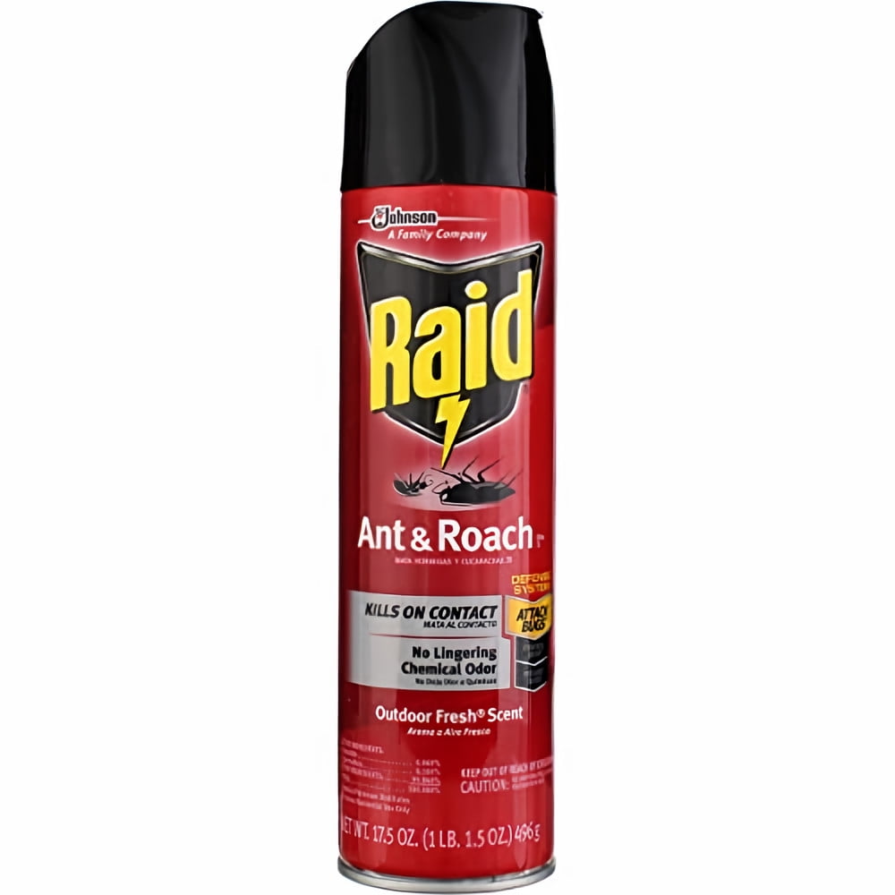 Raid Ant & Roach Killer 26 Outdoor Fresh Scent 17.5 oz (Pack of 5 ...