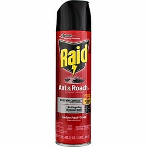 Raid Ant & Roach Killer 26 Outdoor Fresh Scent 17.5 oz (Pack of 18 ...