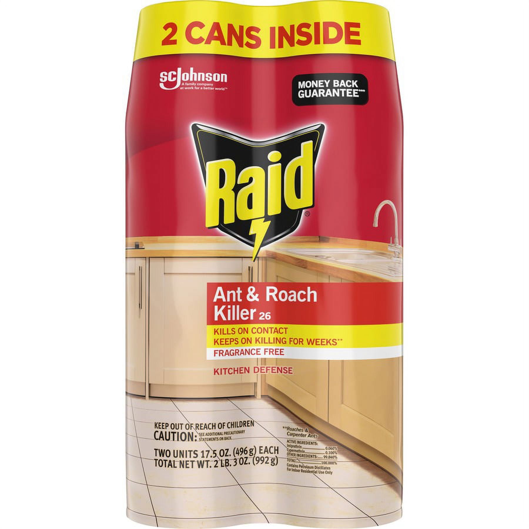 Can Of Raid Killing Spider
