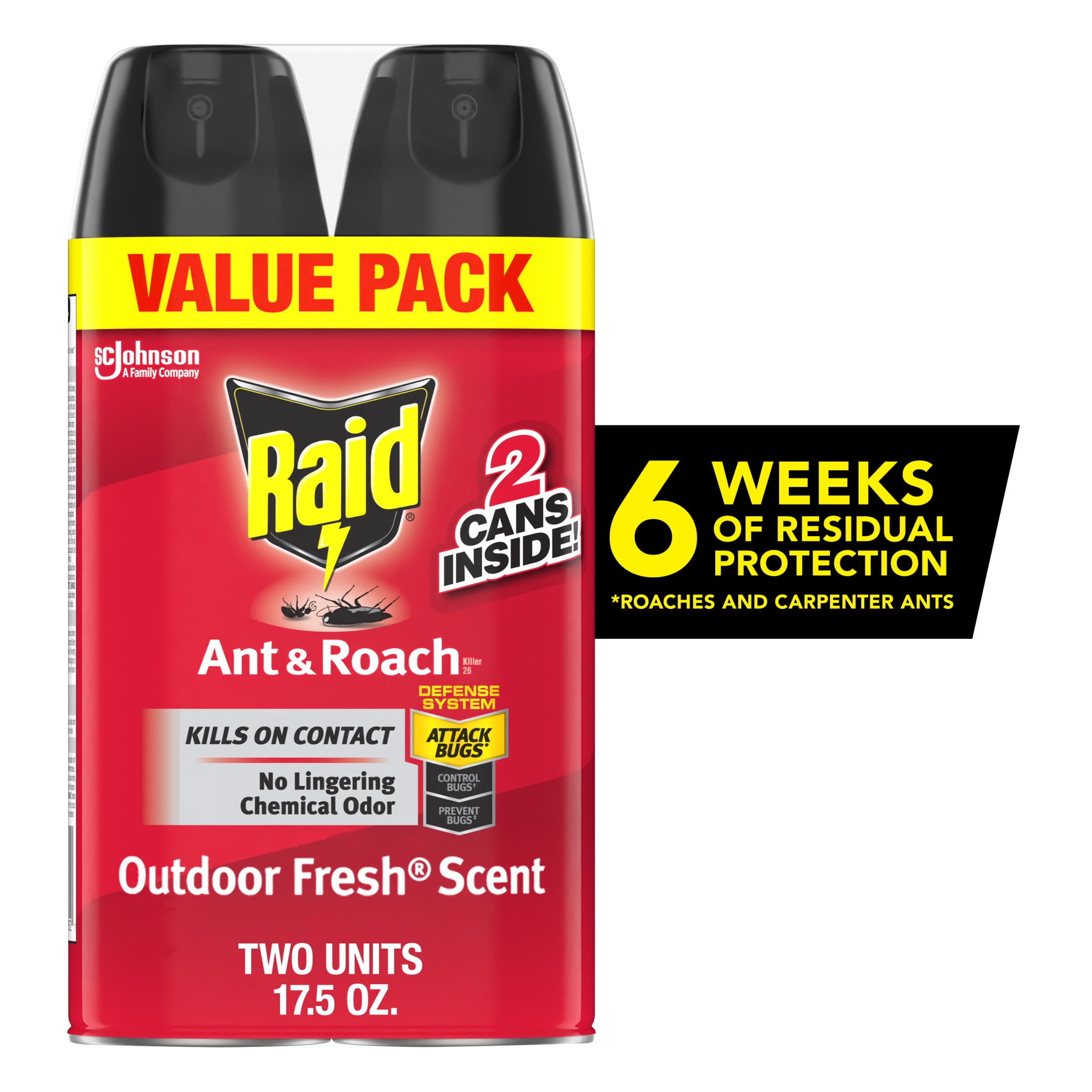 Raid Ant & Roach Insect Killer, Indoor Insecticide Spray, Outdoor Fresh ...