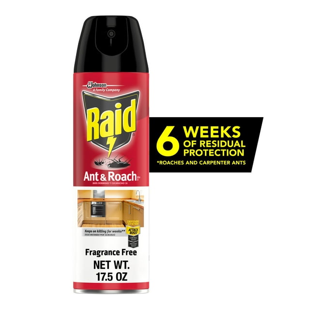 Raid Ant & Roach Killer, Indoor Insecticide Spray, Fragrance Free, 17.5 ...