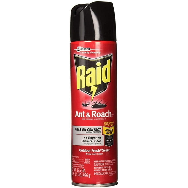 Raid Ant & Roach Killer Insecticide Spray-Outdoor Fresh - 17.5 oz ...