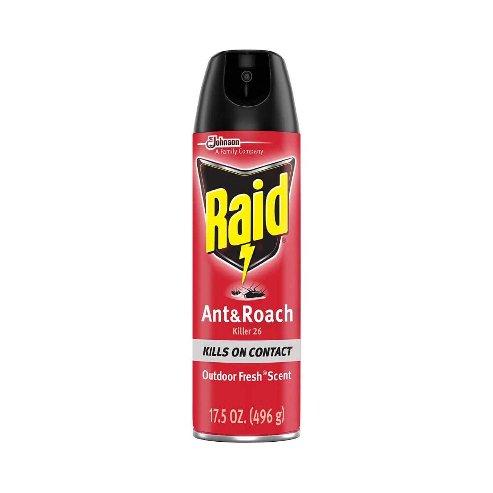 Raid Ant & Roach Killer Insecticide Spray-Outdoor Fresh - 17.5 oz ...