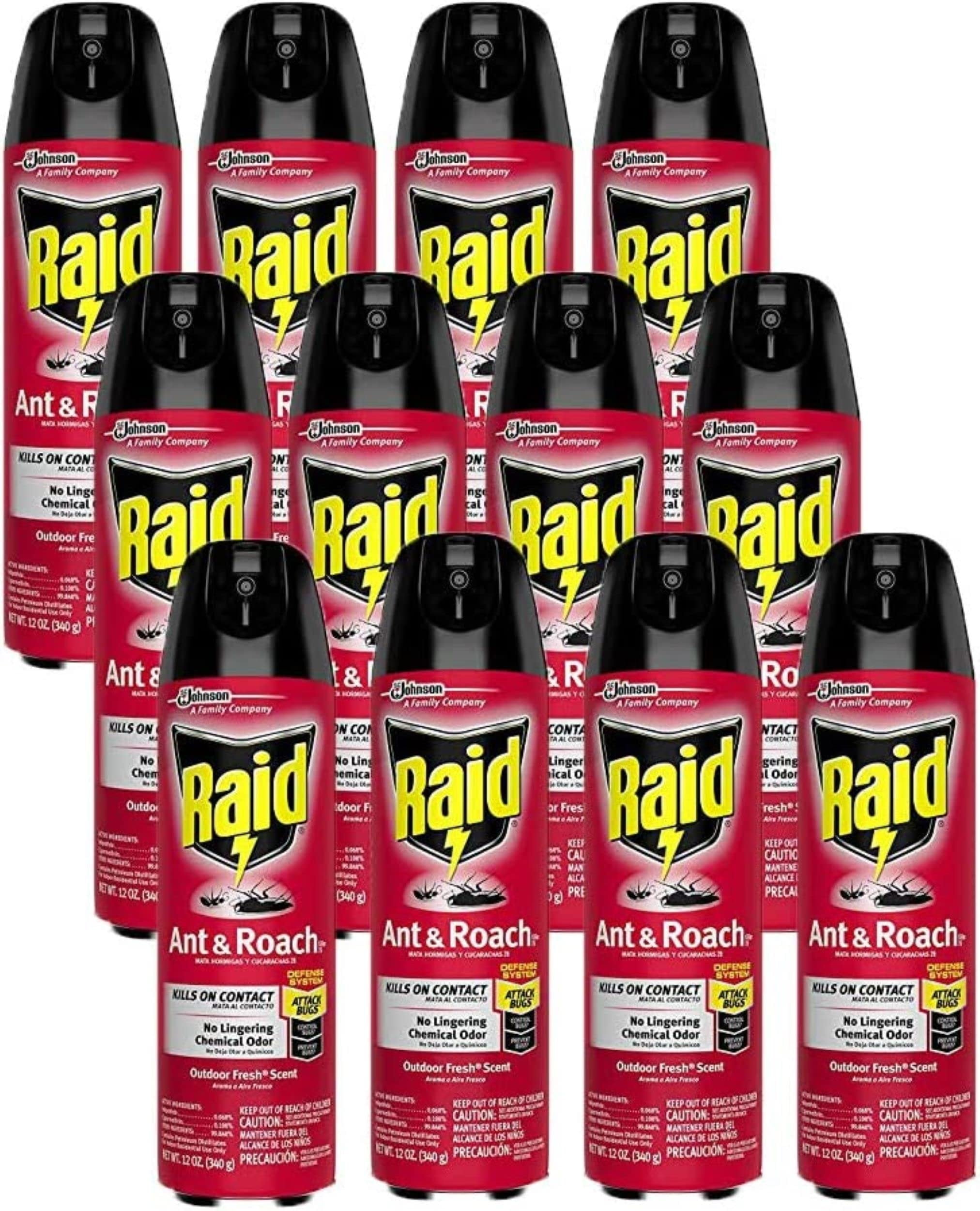 Raid Ant & Roach Killer Spray for Listed Bugs, Insect, Spider, For ...