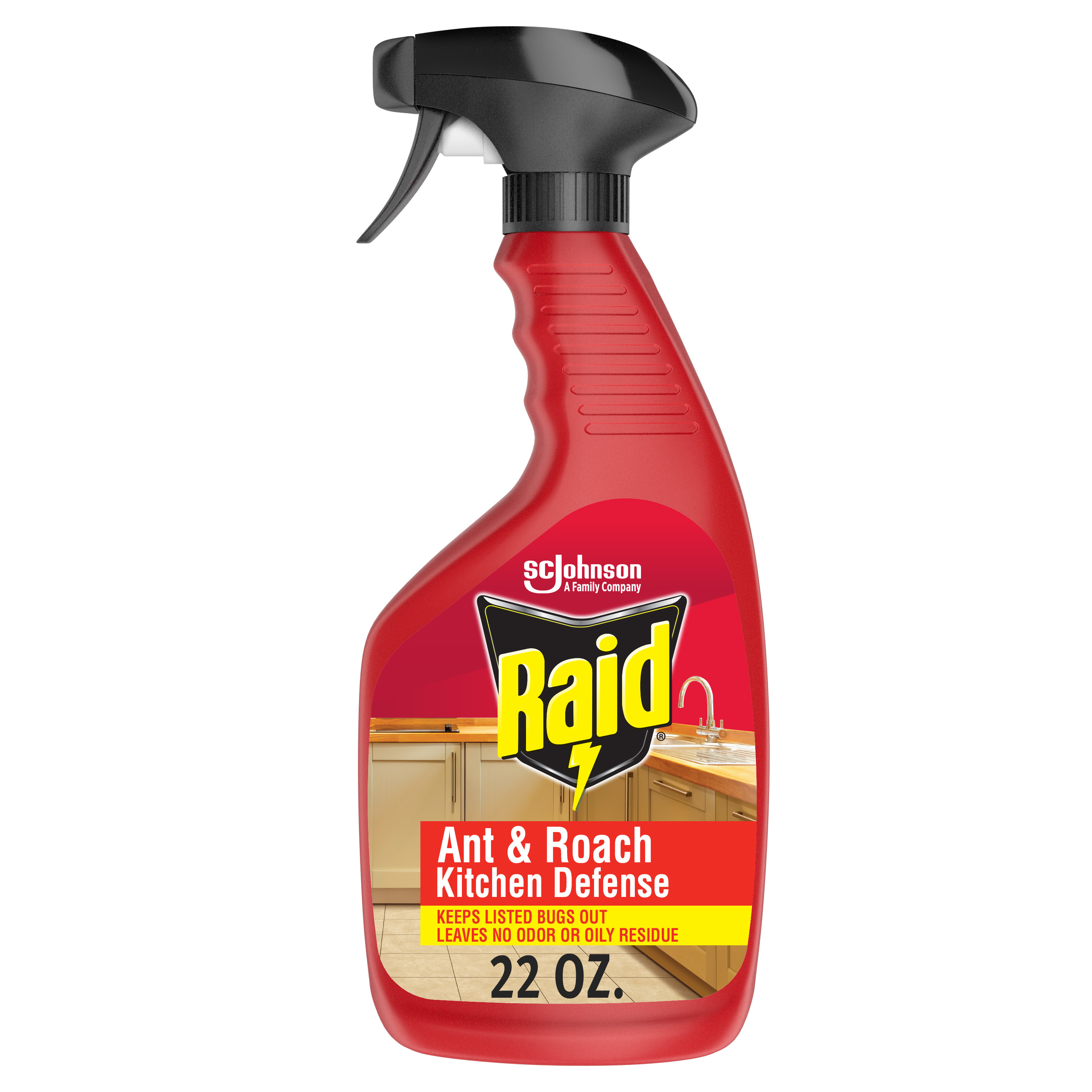 Raid Essentials Ant & Roach, 10 oz (12-Pack) - Walmart.com