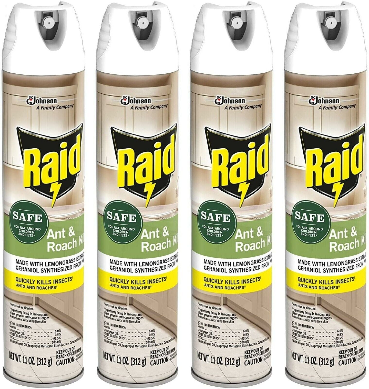 Raid Ant and Roach Killer, Home Bug Indoor Spray, Pet Friendly, with ...