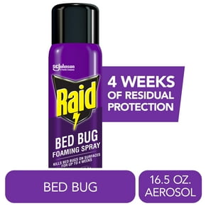 Raid Bug Spray