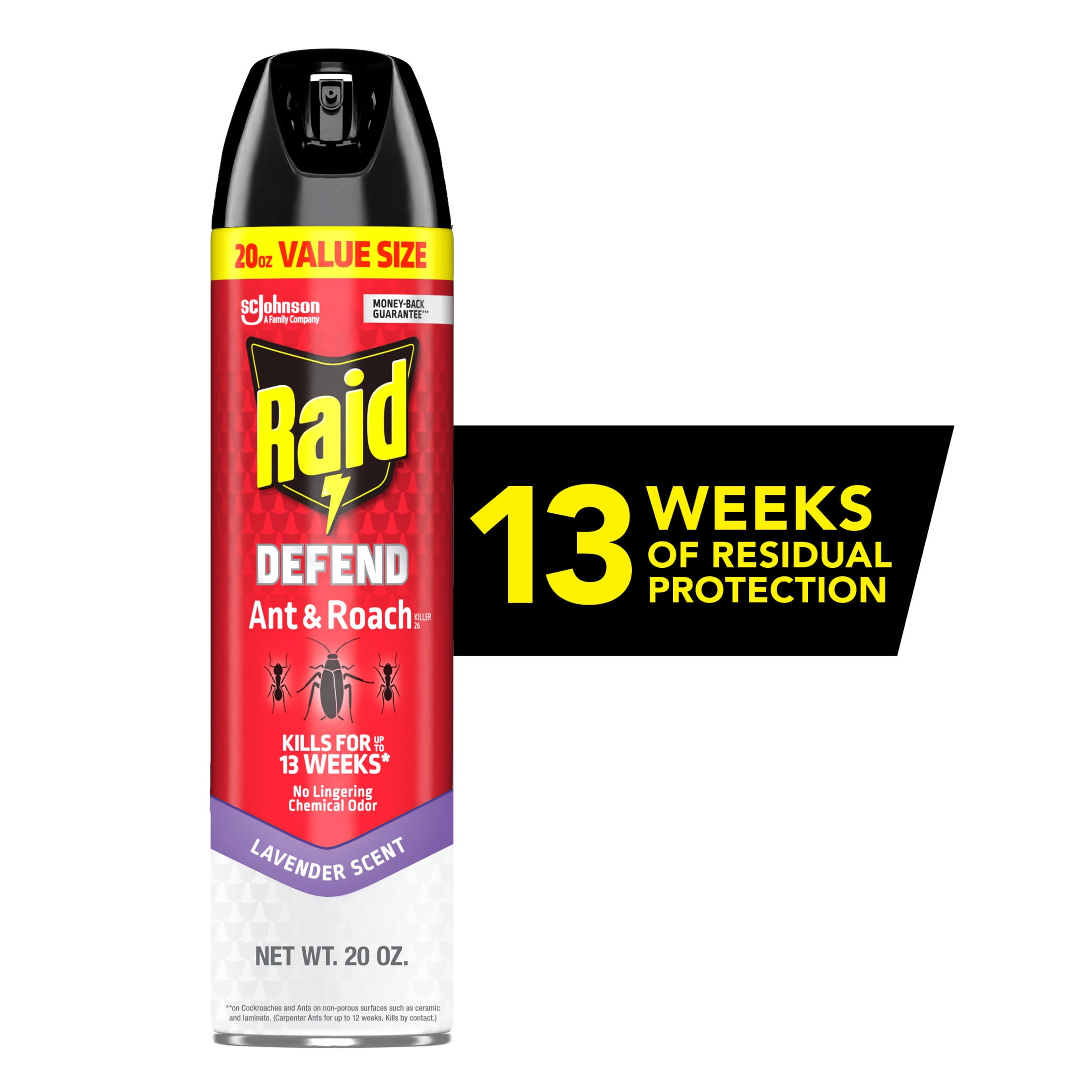Raid Defend Ant & Roach Killer, Indoor Inse Counticide, Residual ...