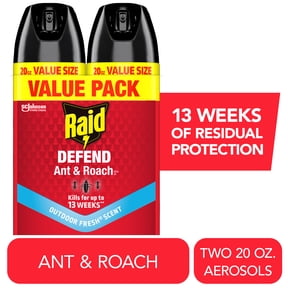Raid - Walmart.com