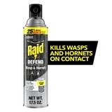 Raid Defend Outdoor Defense System Wasp and Hornet Bug Spray, Insect ...