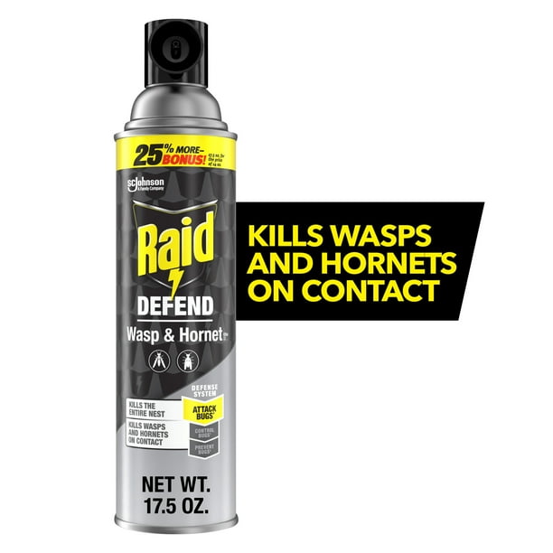 Raid Defend Outdoor Defense System Wasp and Hornet Bug Spray, Insect ...