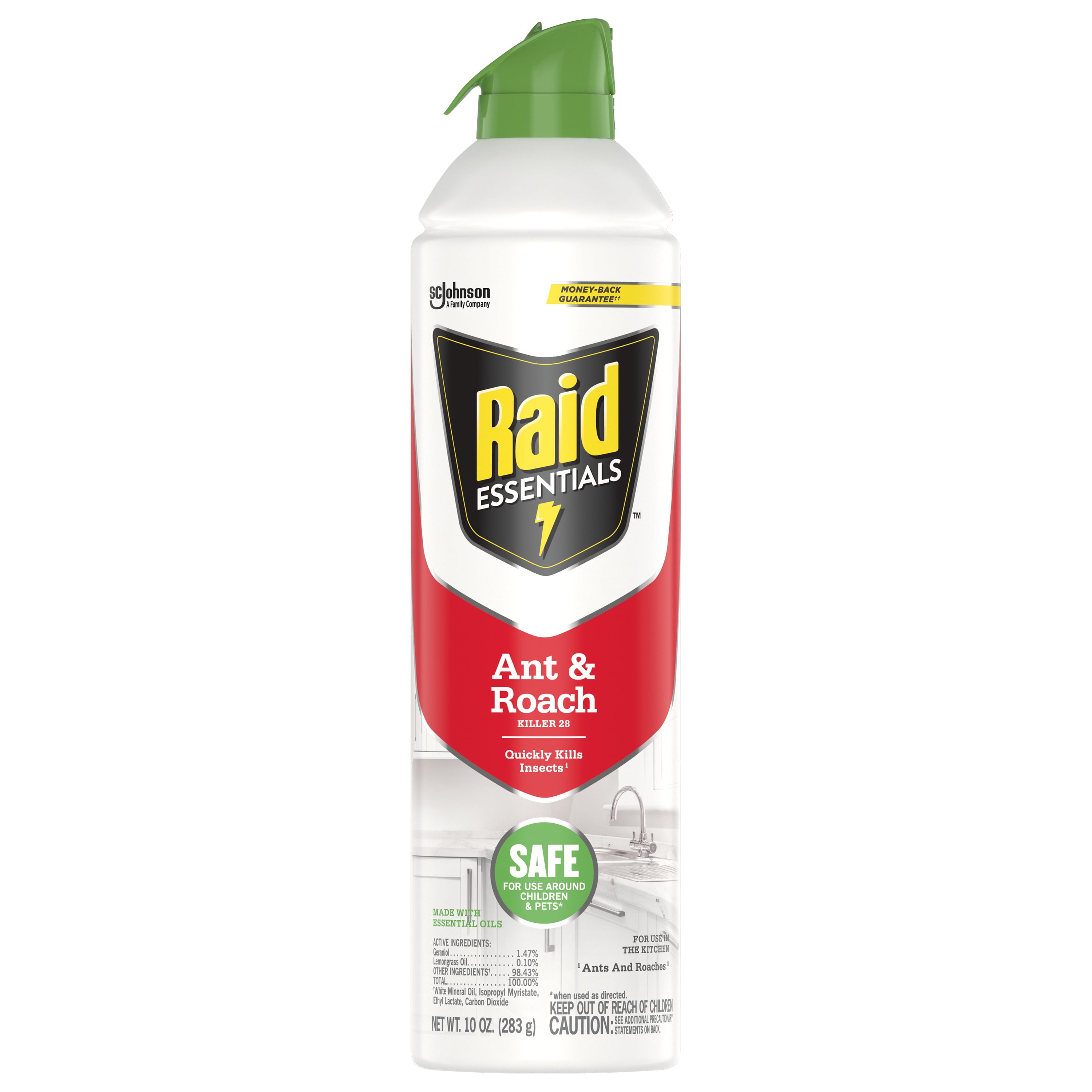 Raid Essentials Ant & Roach Killer 28, 10 Ounce - Walmart.com