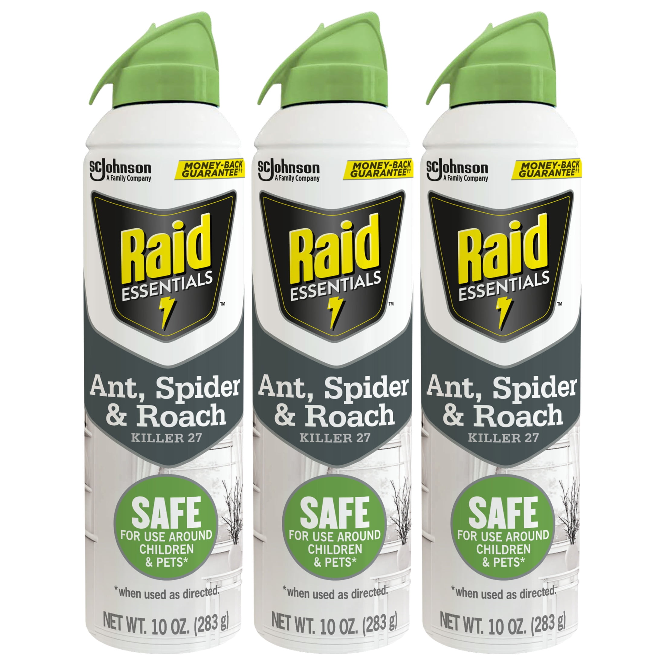 Raid Essentials Ant, Spider & Roach Killer Spray, Pet Safe, Multi ...