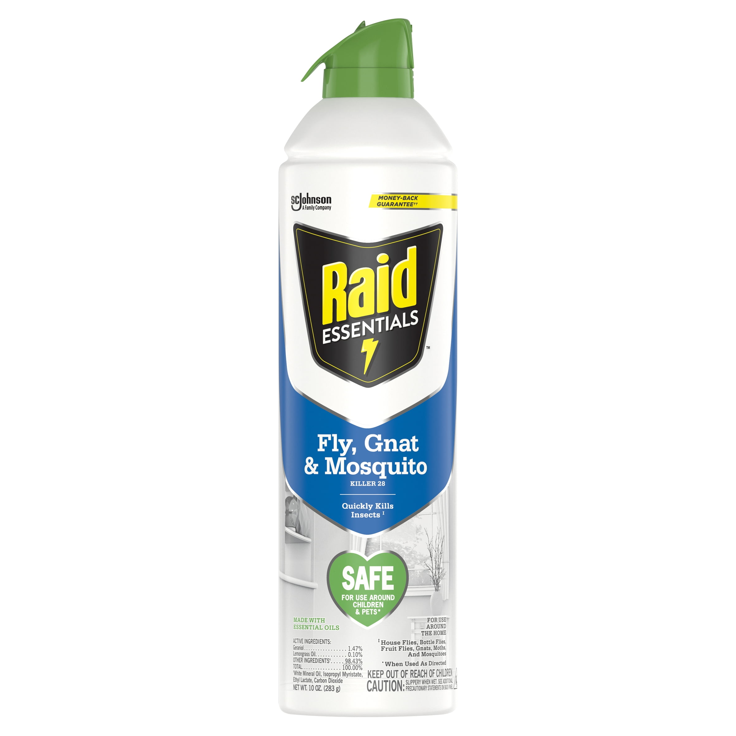 Raid Essentials Indoor & Outdoor Flying Insect Killer, Fruit, Gnat ...