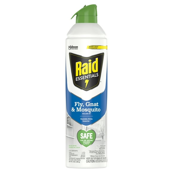 Raid Bug Spray