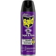 Raid Max Bed Bug & Flea Killer, Carpet & Room Spray, Kills Ticks, 16 OZ - Walmart.com