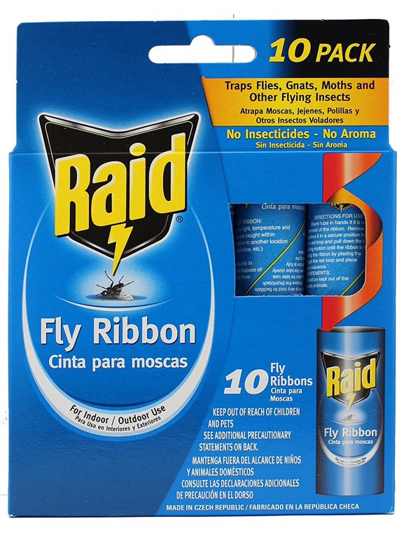 Fly Trap in Fly - Walmart.com