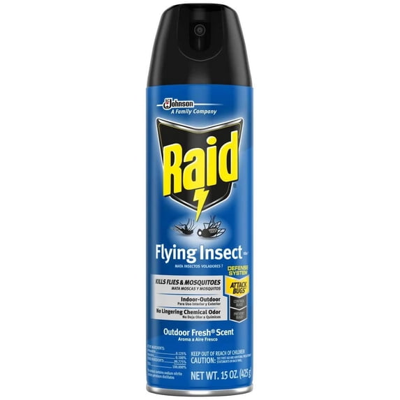 Raid Bug Kill Spray, 15 OZ - Indoor & Outdoor Flying Insect Protection ...