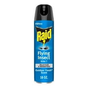 Raid Insect Sprays and Foggers in Pest Control - Walmart.com