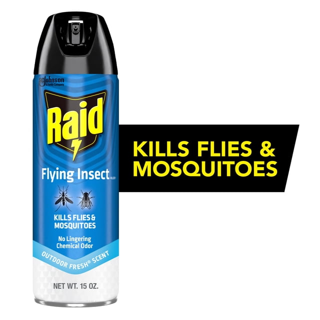 Raid Indoor & Outdoor Flying Insect Killer 7, Insecticide Spray for ...