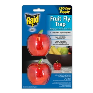 Raid Disposable Fly Trap, Traps Flies, Gnats, Moths, and More, 6 Pack ...
