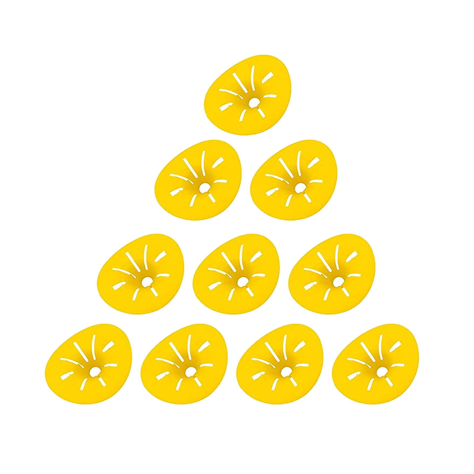 Raid Gnat Spray Flea for Home with Light Moth Sticky Sticky Mice for ...