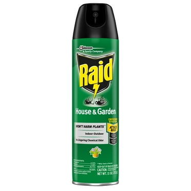 Raid Indoor Outdoor Flying Insect Killer 11 oz Contact Bug Spray No ...