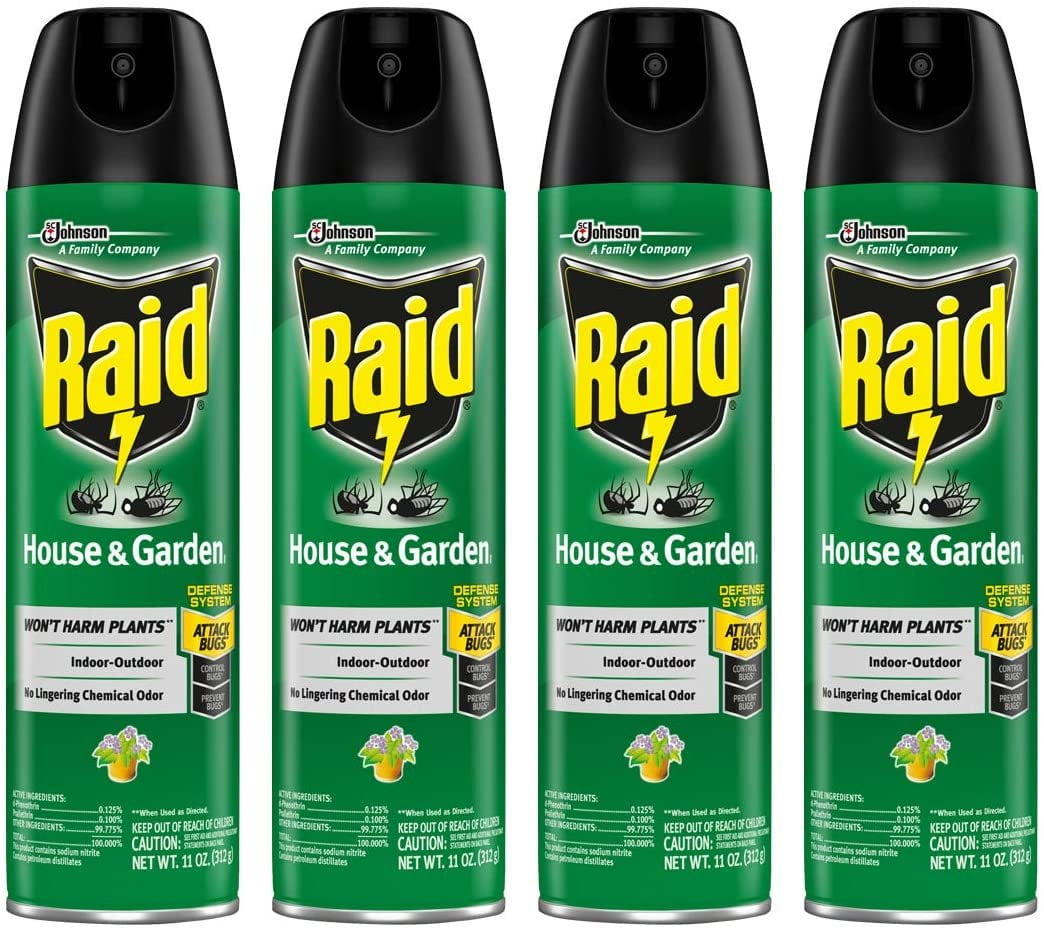 Raid Indoor & Outdoor Home Insect Killer, House and Garden Aerosol, 11 ...