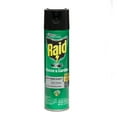 Raid Insect Killer, House & Garden I, 11 oz - Walmart.com