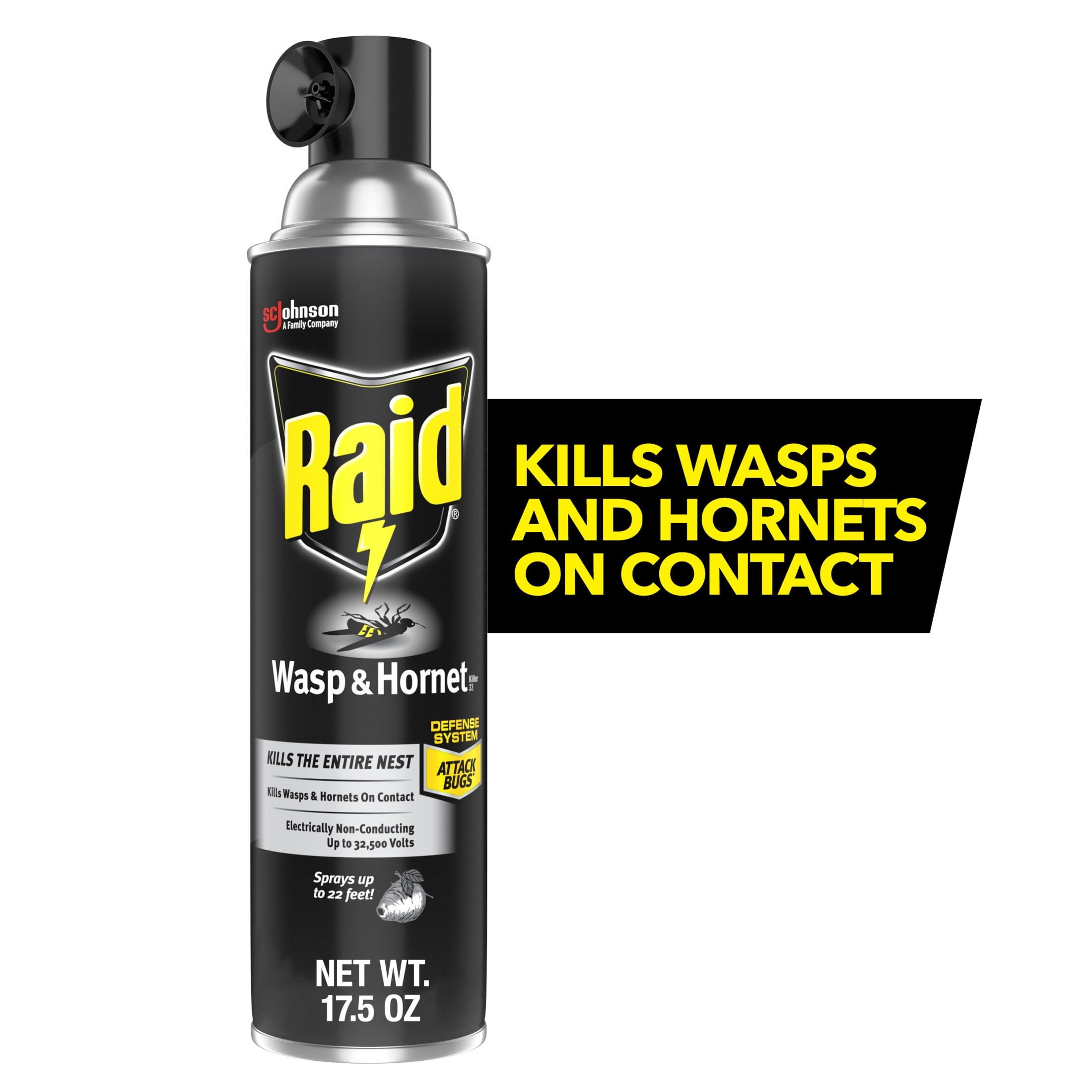 Raid Killer 33 Outdoor Wasp and Hornet, Aeorsol Insecticide Spray, 17.5 ...