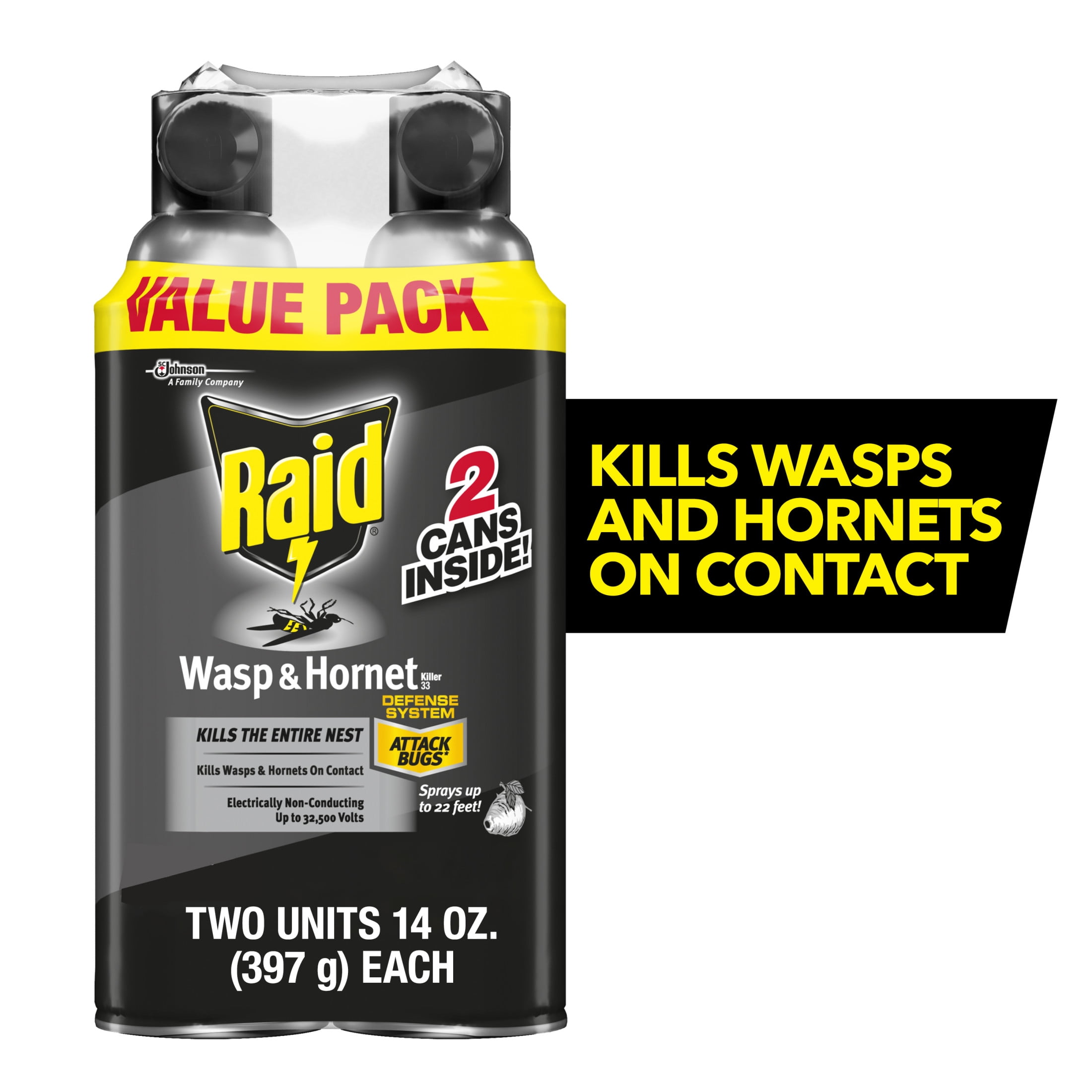Raid Killer 33 Outdoor Wasp and Hornet Insecticide, Long Distance Spray ...