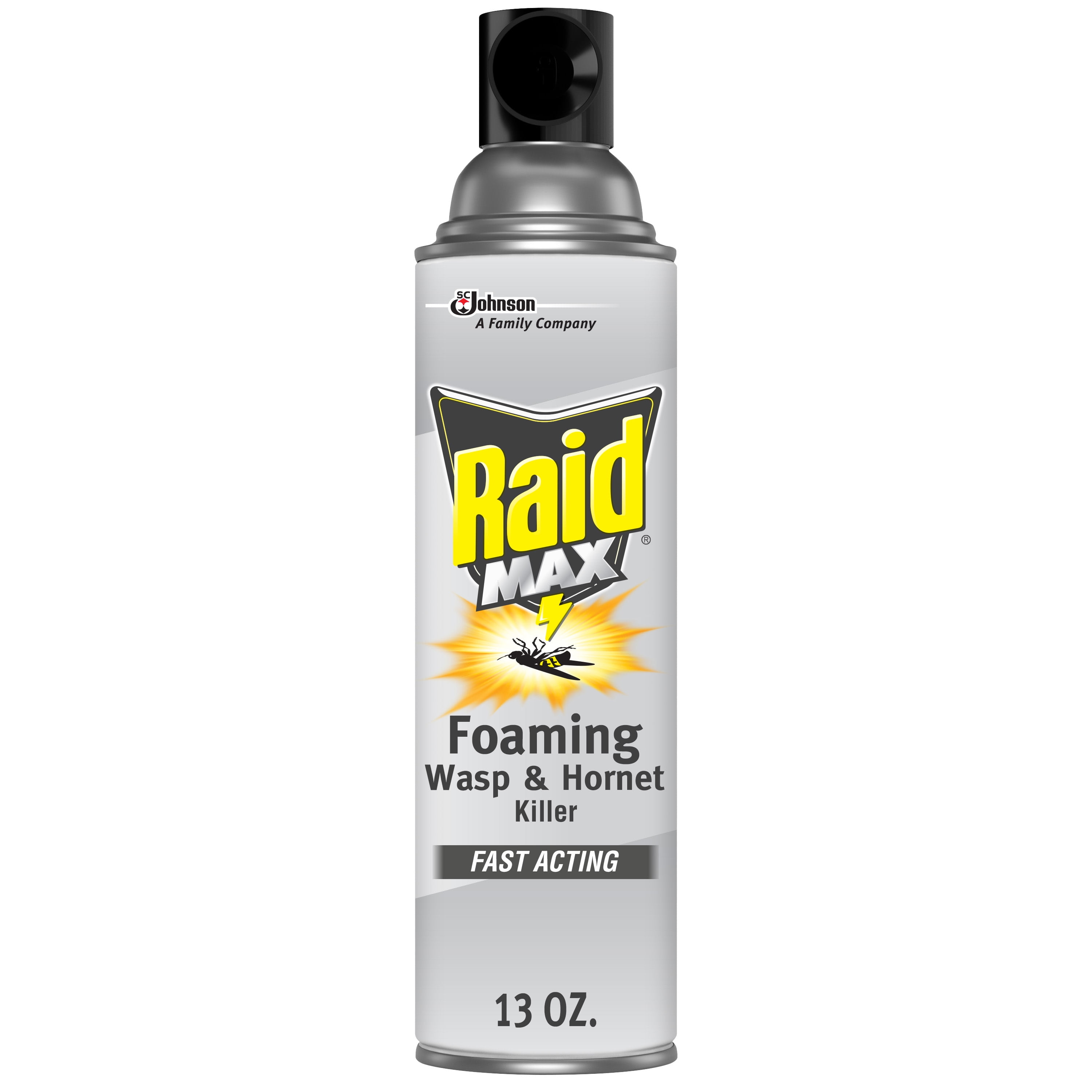 Raid Max Foaming Wasp & Hornet Killer, 13 oz - Long Distance Insect ...