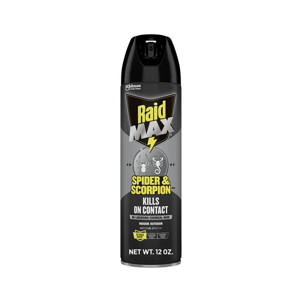 Raid Max Indoor & Outdoor Spider & Scorpion Killer Bug Spray, 12 oz ...