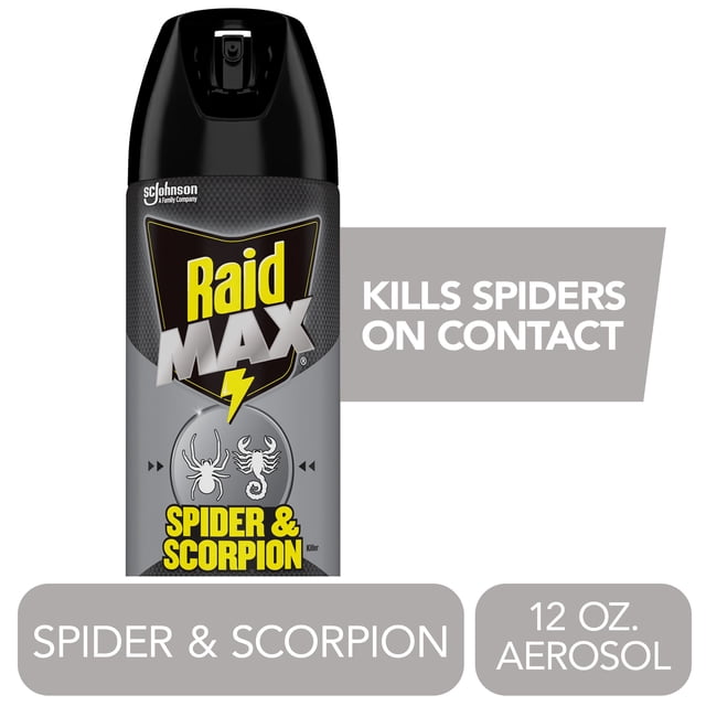 Raid MAX Indoor & Outdoor Spider & Scorpion Killer Bug Spray, 12 oz ...
