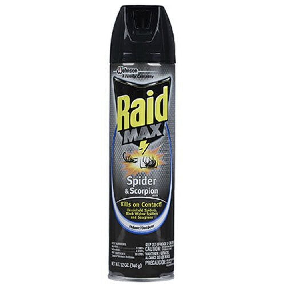 Raid Max Spider & Scorpion Killer 12 oz (Pack of 16) - Walmart.com