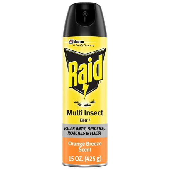 Raid Bug Spray